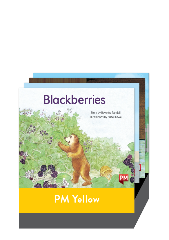 The PMs | Cengage Australia